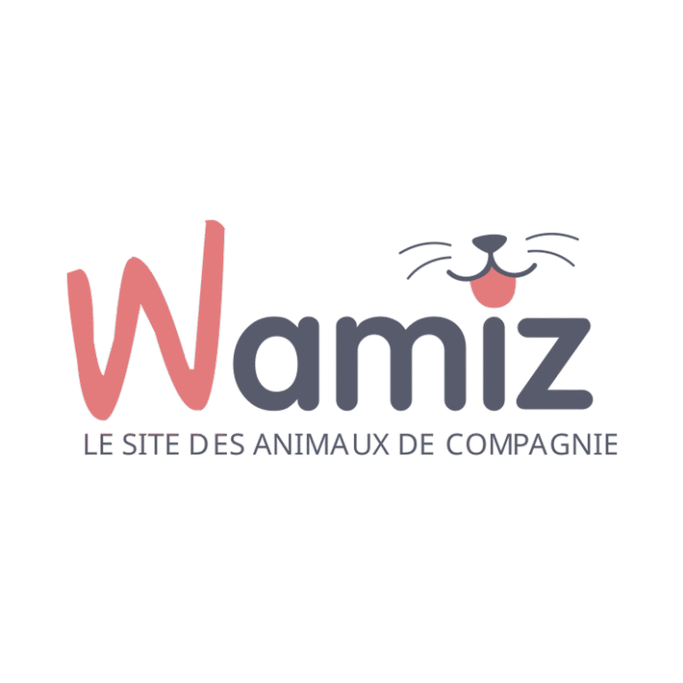 Wamiz accélère en France et à l’international sur le marché des animaux ...